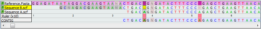 DNA Sequence Assembler->Manual->Contig Assembly window|The contig map ...