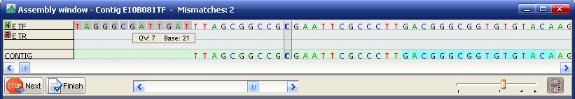 DNA Sequence Assembler->Manual->Contig Assembly window|The contig map ...