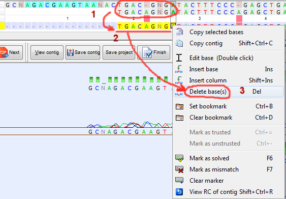 Manual end trimming. Assembling contigs from chromatogram files (SCF ...