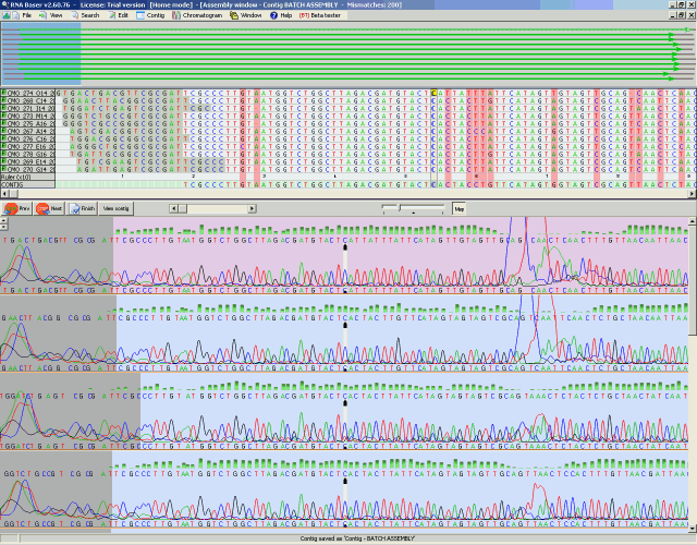 DNA sequence alignment and DNA sequence assembly. Alignment sequencing ... DNA sequence alignment and DNA sequence assembly. Alignment sequencing ...